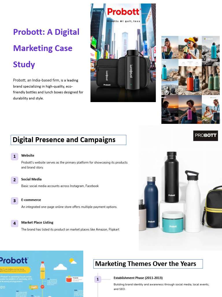 FINAL - Probott-A-Digital-Marketing-Case-Study | PDF | Popular Culture ...