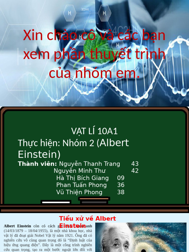 10A1 - Nhóm 2 | PDF