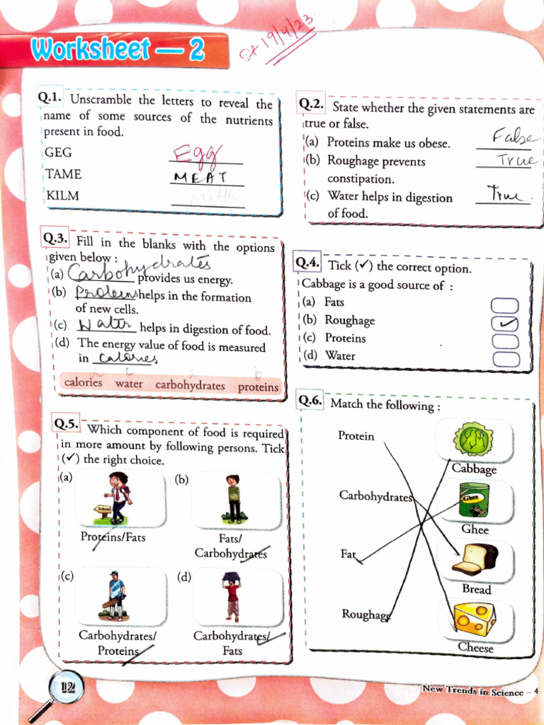 STD 4.science - CH 1 Food, Objective Answers. | PDF | Foods | Dietary Fiber