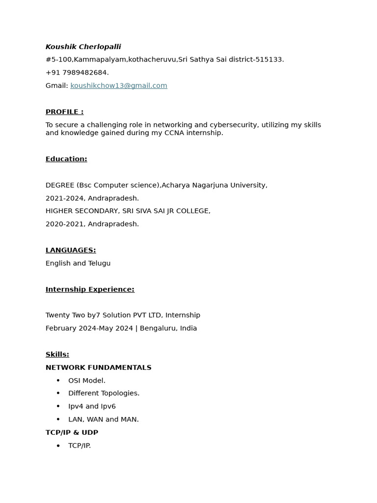 Networking & Cybersecurity Profile | PDF