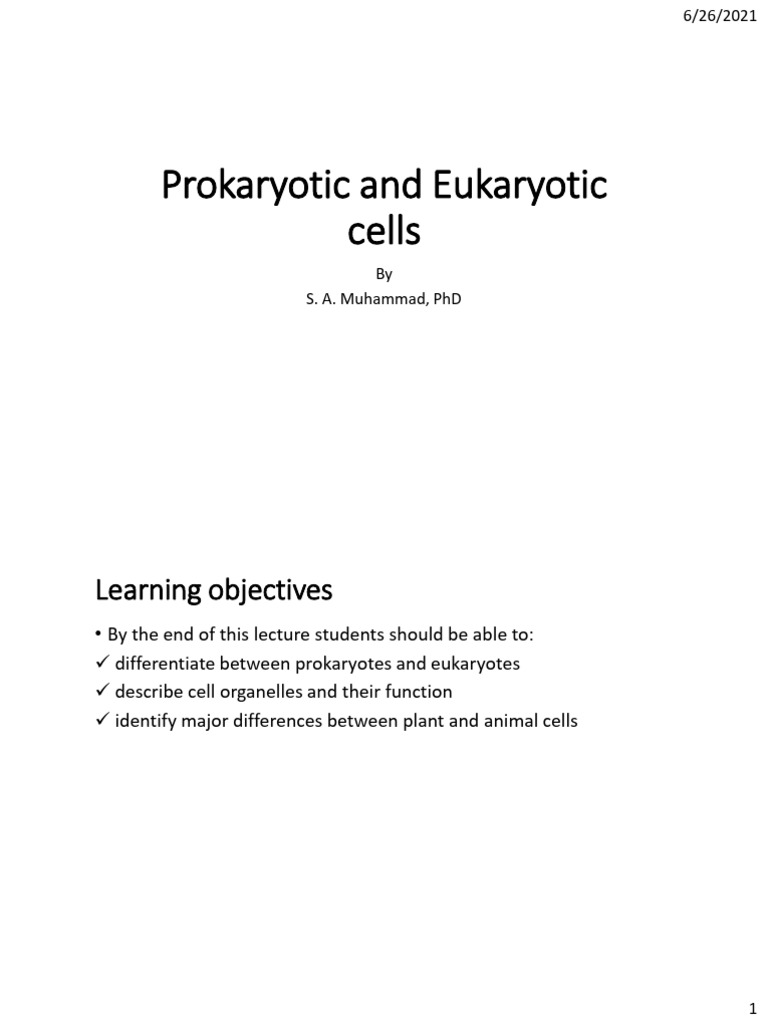 BCH 102 - Prokaryotic and Eukaryotic Cells | PDF | Cell (Biology ...