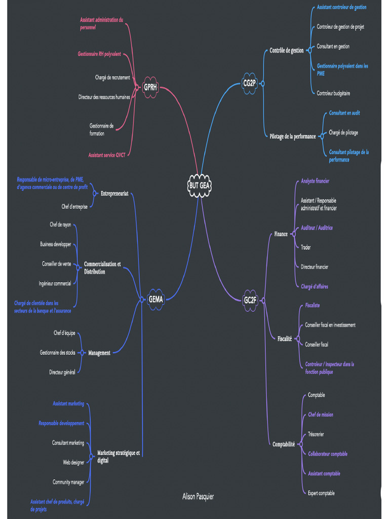 AlisonPasquier_MindMap | PDF