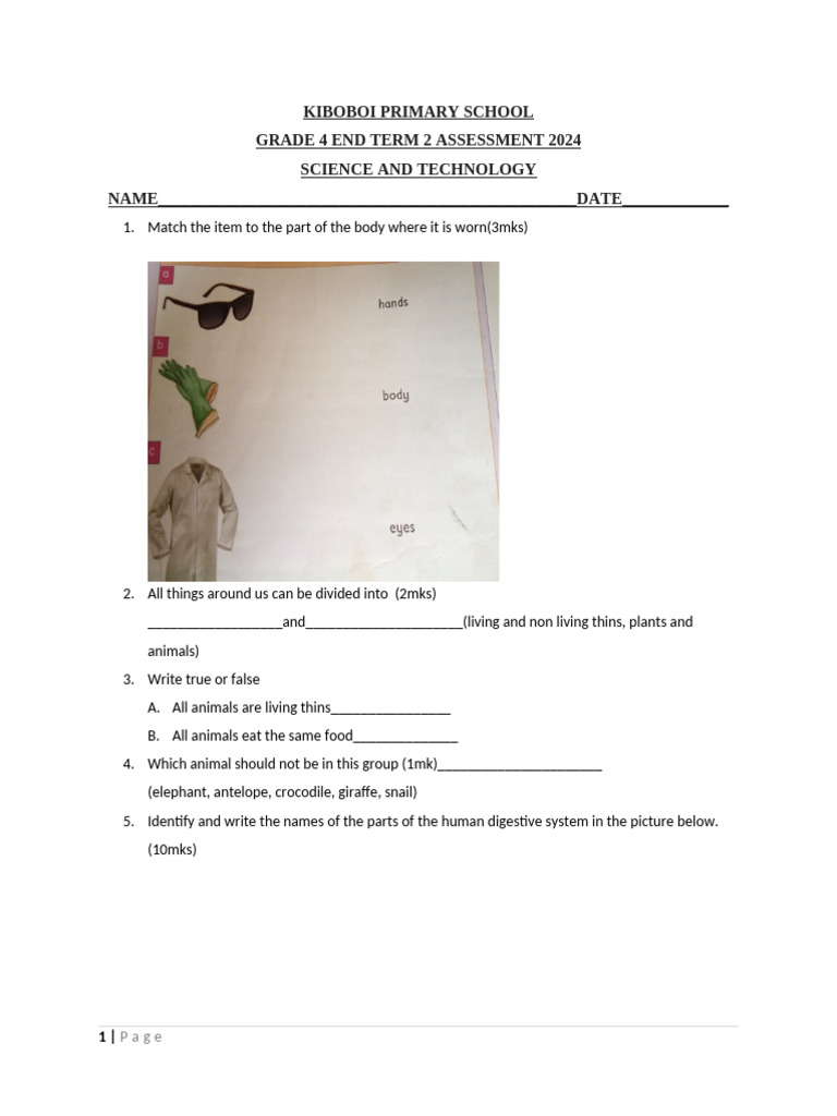 Grade 4 Sci and Technology | PDF