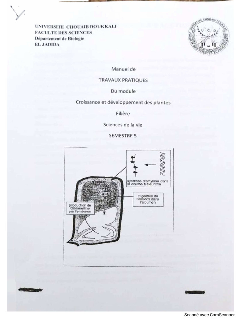 Polycopié TP Croissance | PDF