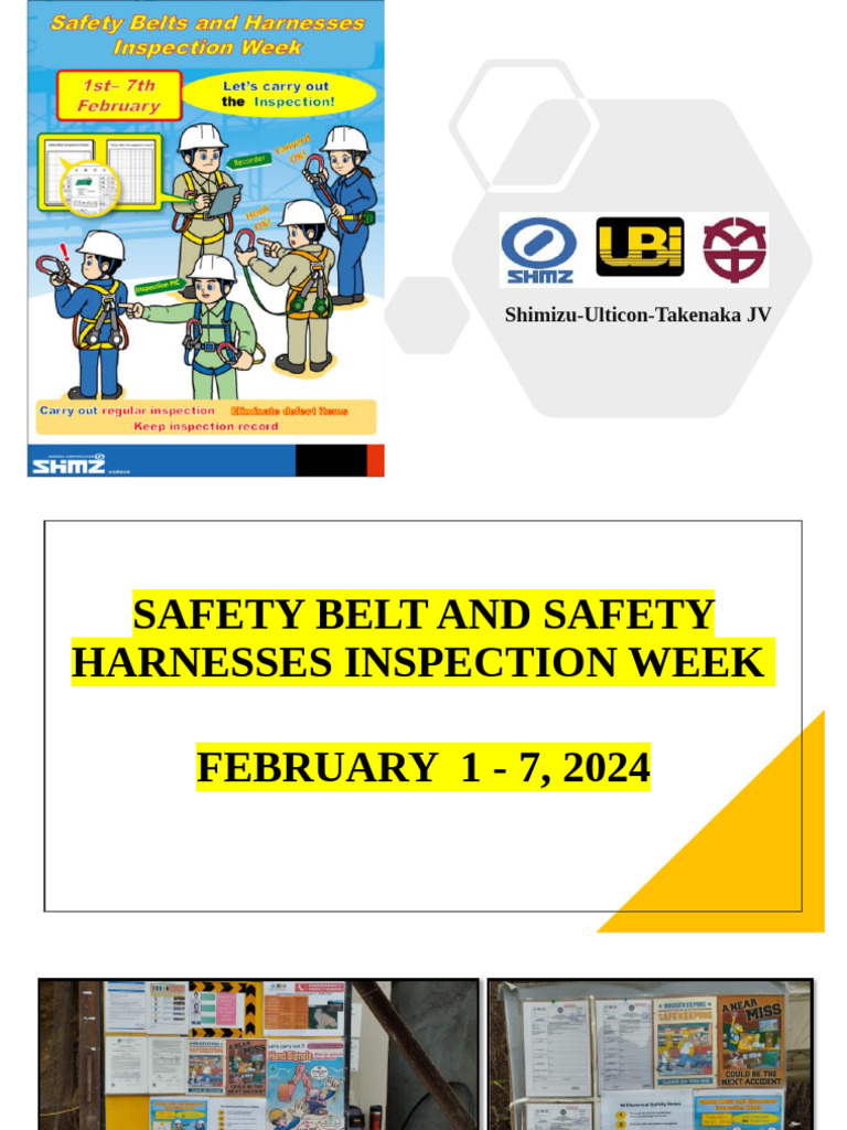 Safety Belts & Harness Inspection FEBRUARY 2024-PC13895 | PDF