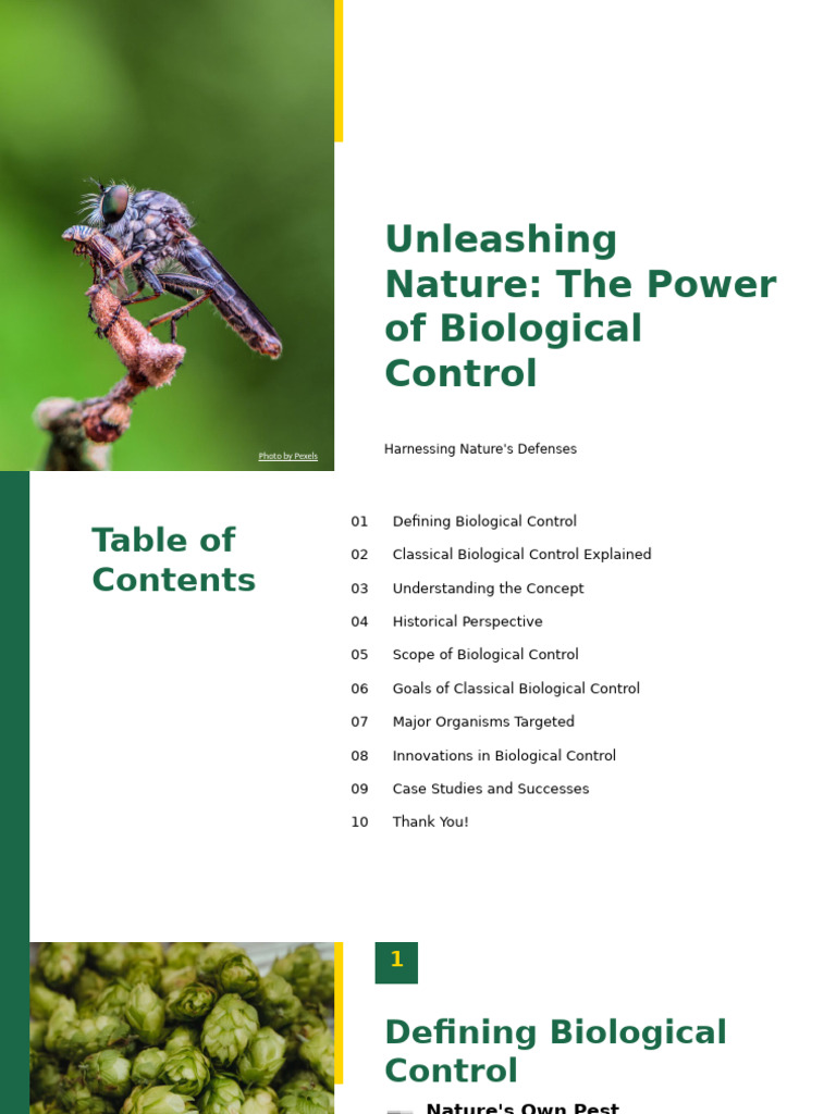 Unleashing Nature The Powerof Biological Controled 9 C 002 F 7 F 6 C ...