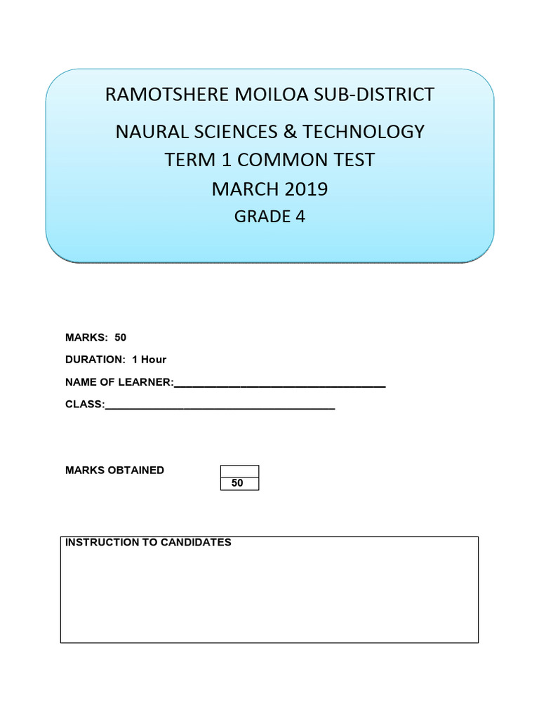 Grade 4 NSTECH Term 1 2019 | PDF | Plants | Seed