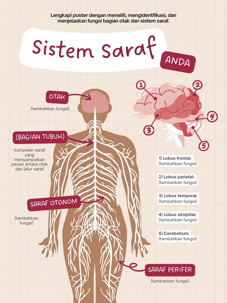 Fungsi Bagian Otak dan Saraf | PDF