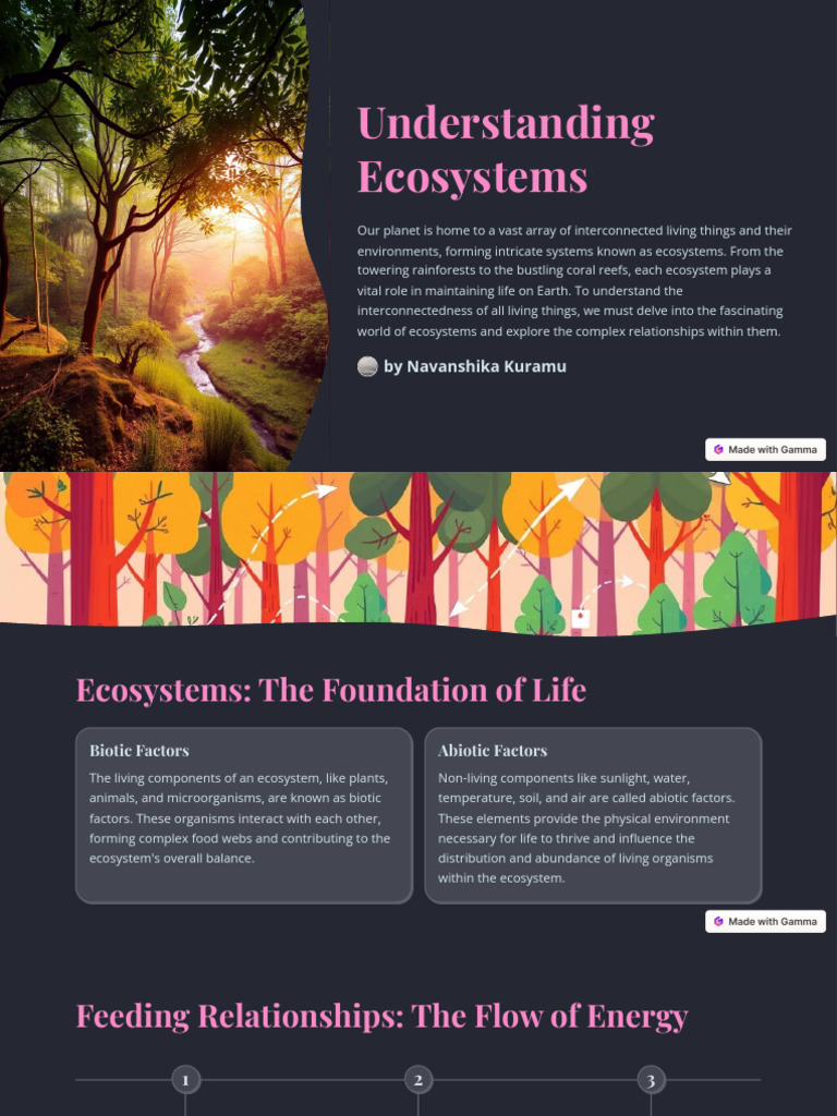 Understanding Ecosystems | PDF | Food Web | Ecosystem
