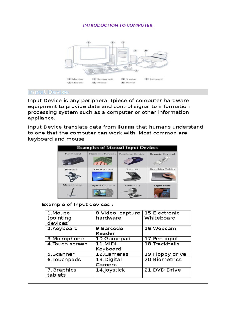 Introduction To Computer | PDF | Application Software | Computer Program