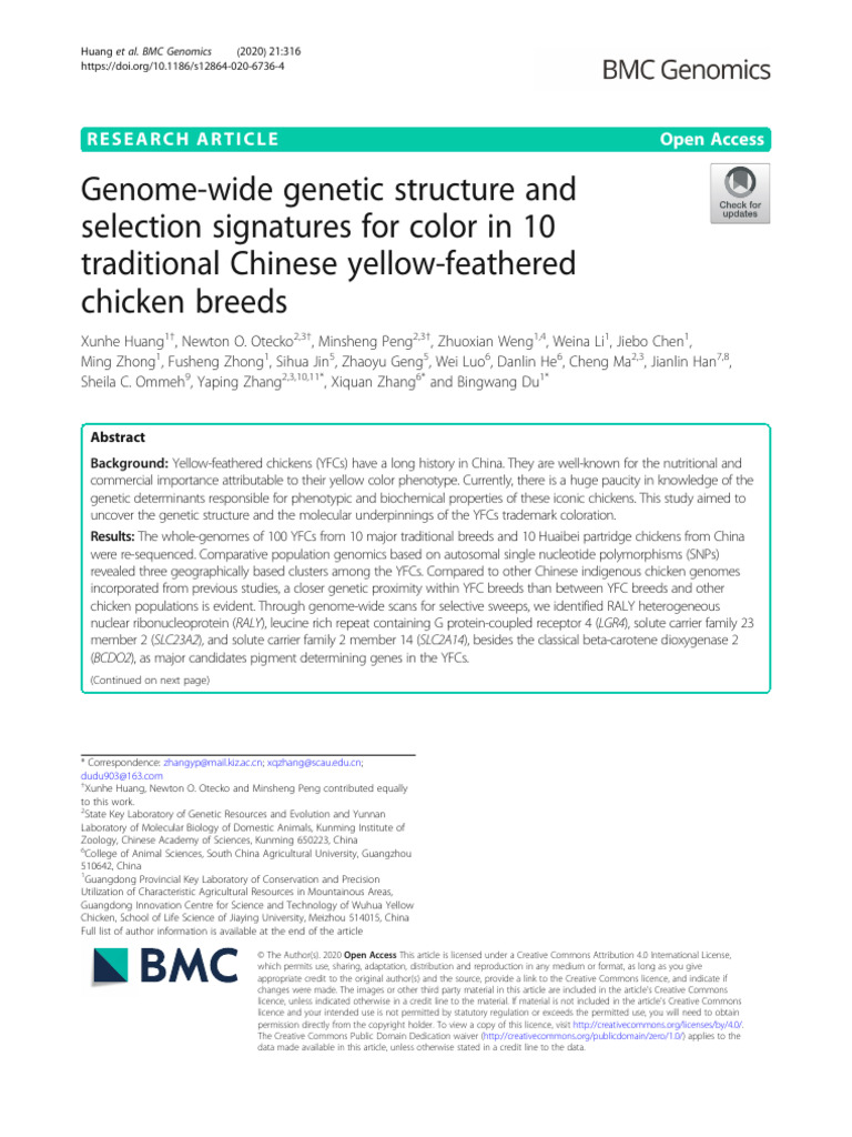 Genetic Study of Yellow-Feathered Chickens | PDF | Natural Selection | Gene