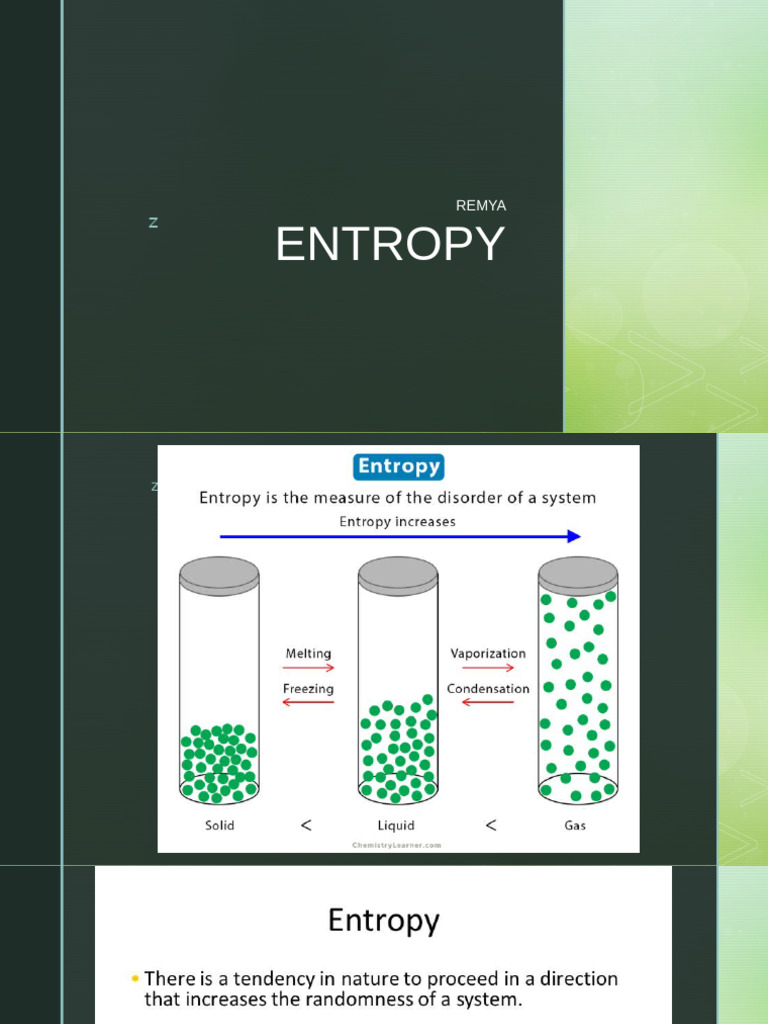 Entropy | PDF
