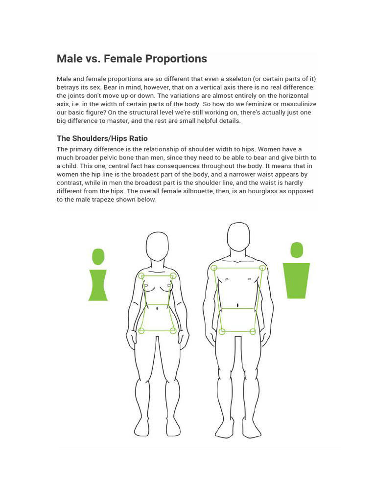07 - Male Vs Female Proportions 1 | PDF | Hip | Pelvis