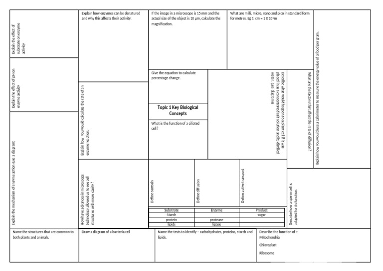 Topic 1 Revision mat | PDF | Enzyme | Cell (Biology)