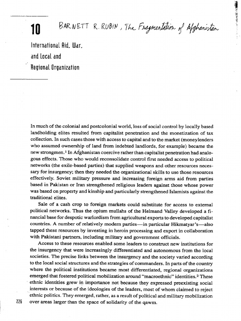 Amnesty | PDF