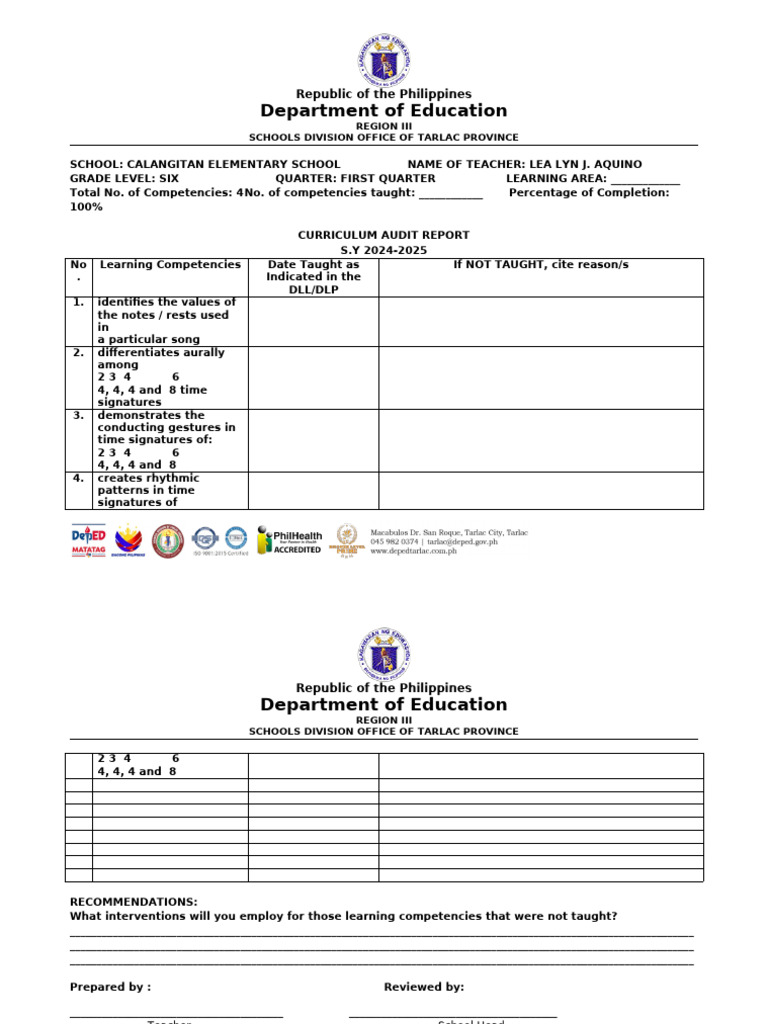 Curriculum Audit | PDF