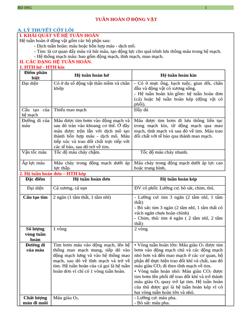HSG (HTH - CBNM) | PDF