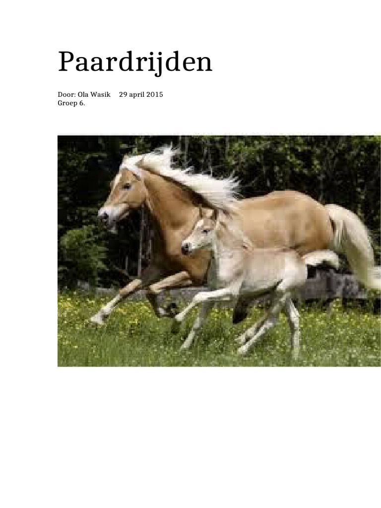 Werkstuk Paardrijden | PDF