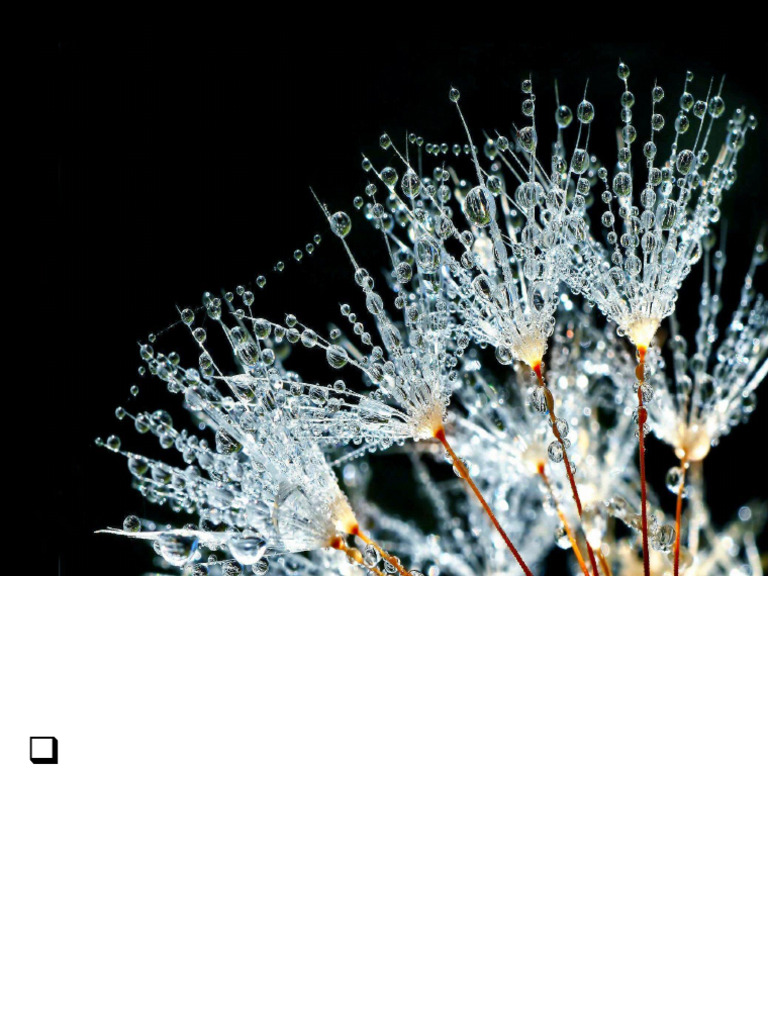 Lesson 3 Properties of Liquid and IMF | PDF | Liquids | Evaporation