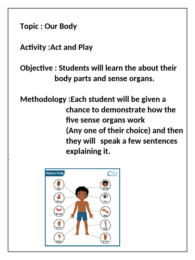 Grade - 2 Activity File | PDF | Seed | Botany