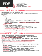 Co To Takiego Kraking I Reforming Oraz W Jakim Celu Sie Je Prowa | PDF