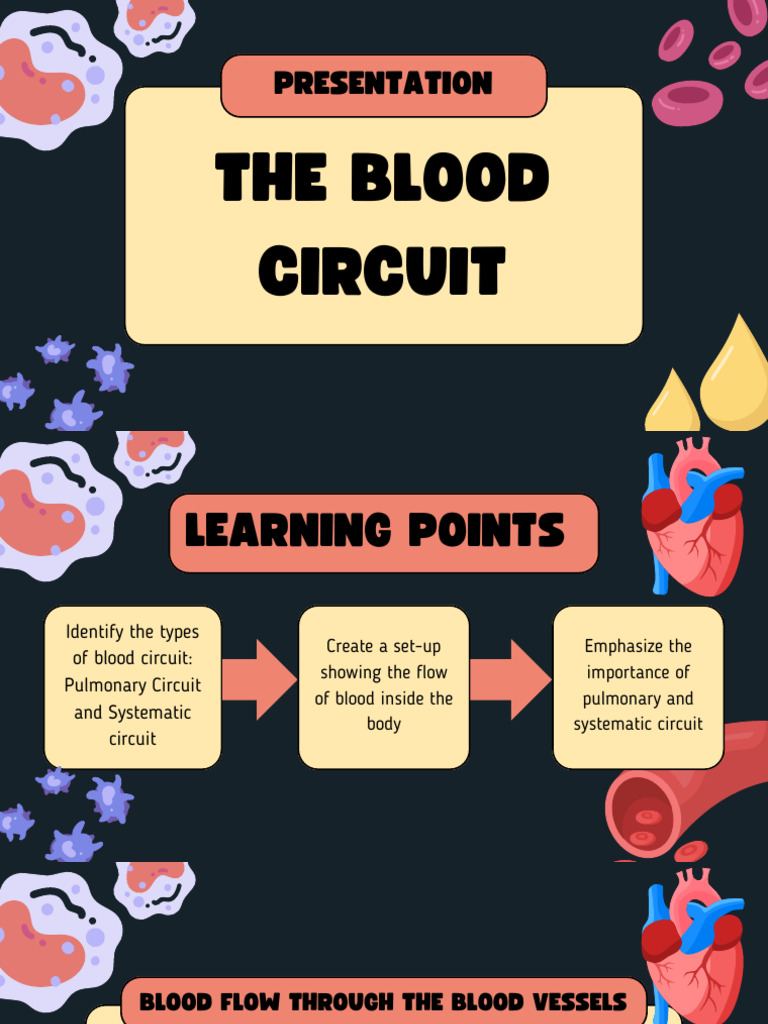 Understanding Blood Circuits | PDF