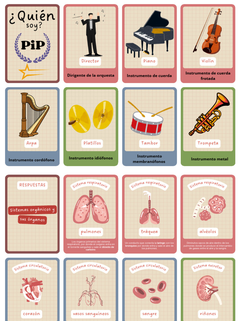 Sistemas de Órganos Anatomía Juego Flashcard en Rosa Beige Celeste ...