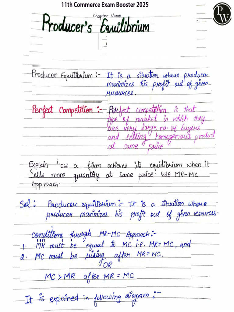 Producer Equilibrium - Handwritten Notes | PDF