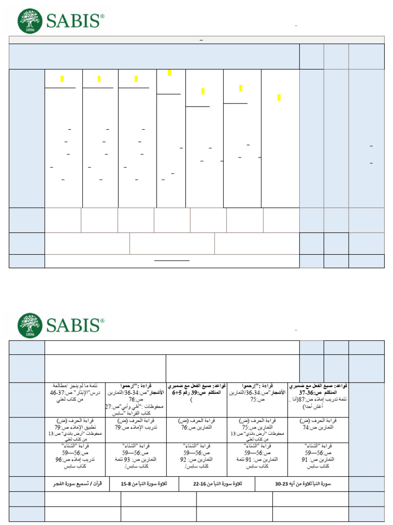 2425-Level E - Term 2 Week 10 SDP Weekly Plan | PDF