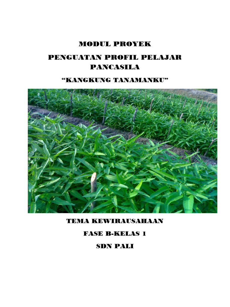 Modul Proyek | PDF