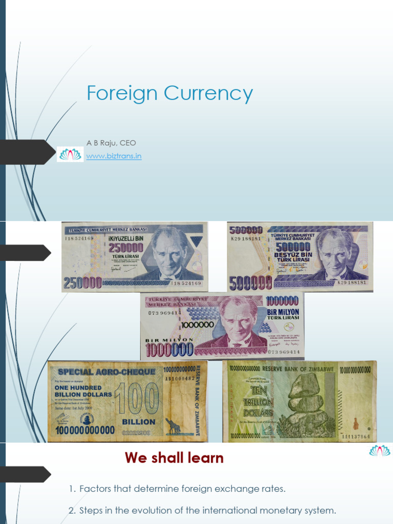 7. Foreign Currency | PDF | Cost Of Living | Bretton Woods System