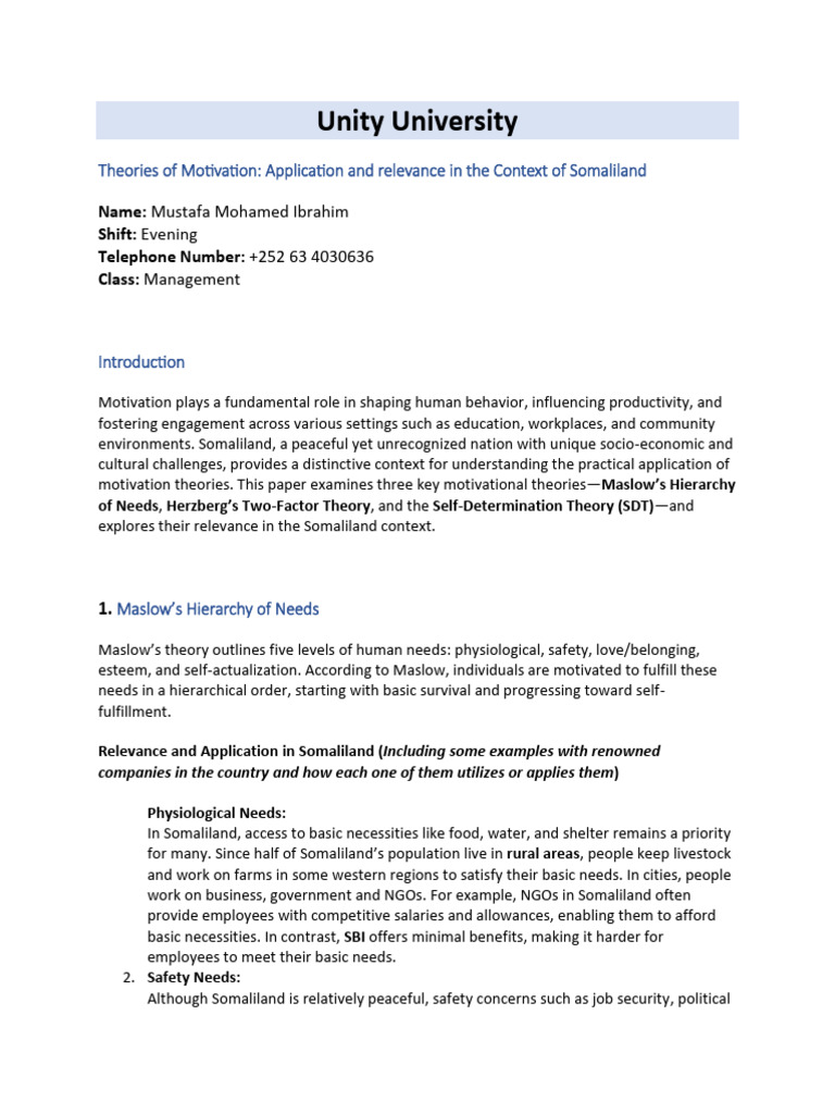 Coursework Submitted by Mustafa Mohamed | PDF | Motivation | Motivational