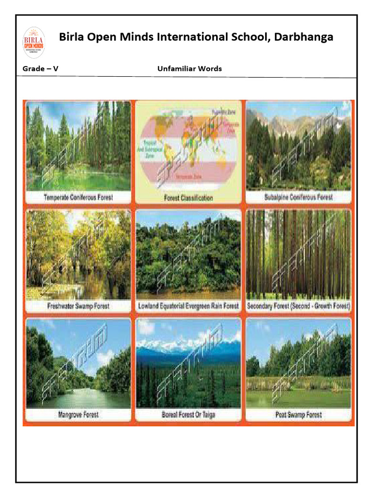 Different Types of Forest | PDF