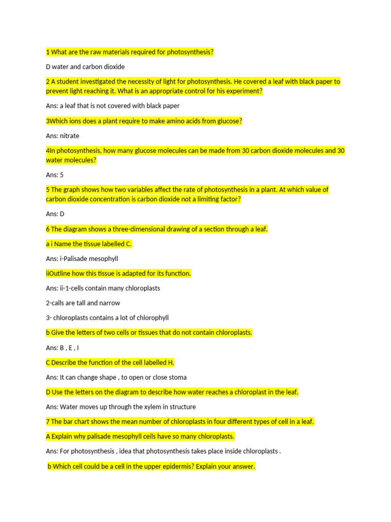 Biology Term 2 | PDF | Photosynthesis | Leaf