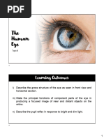 Grade 12 Life Science The Eye | PDF | Eye | Myopia