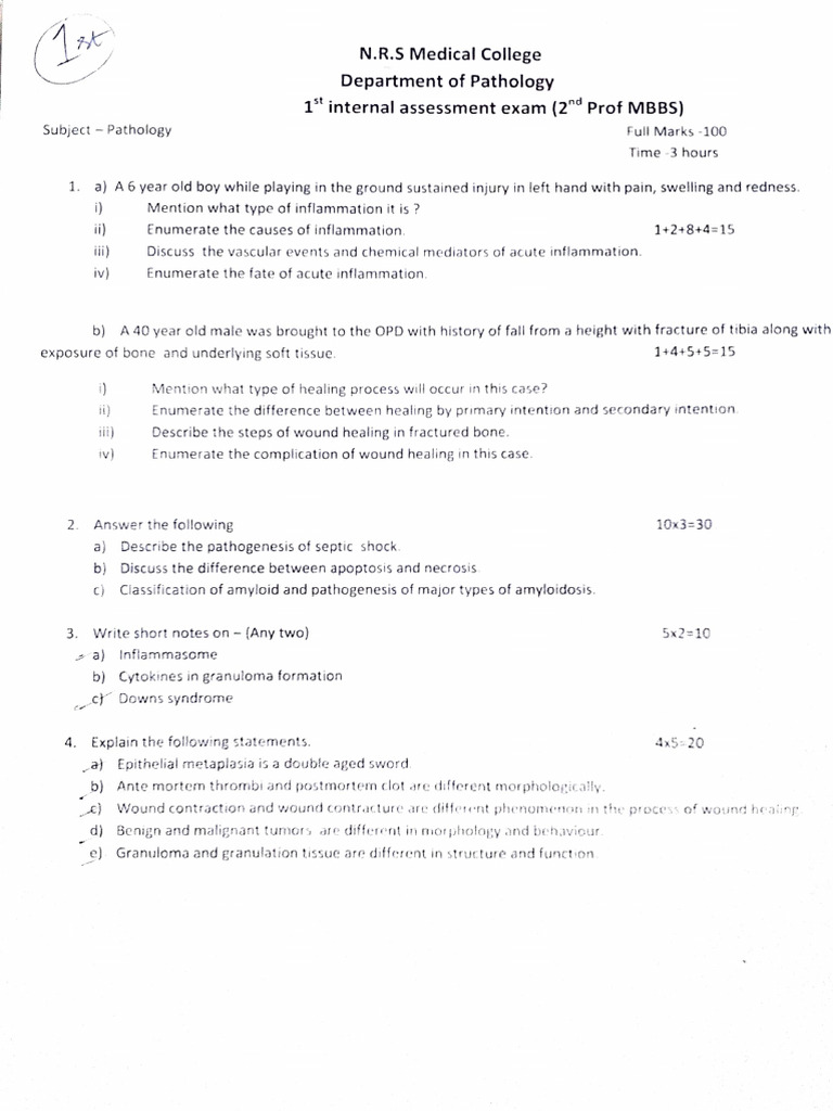 Nrs Sem 2nd Proff | PDF