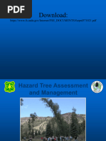 ISABasicTreeRiskAssessmentForm Instructions | PDF | Wood | Trees