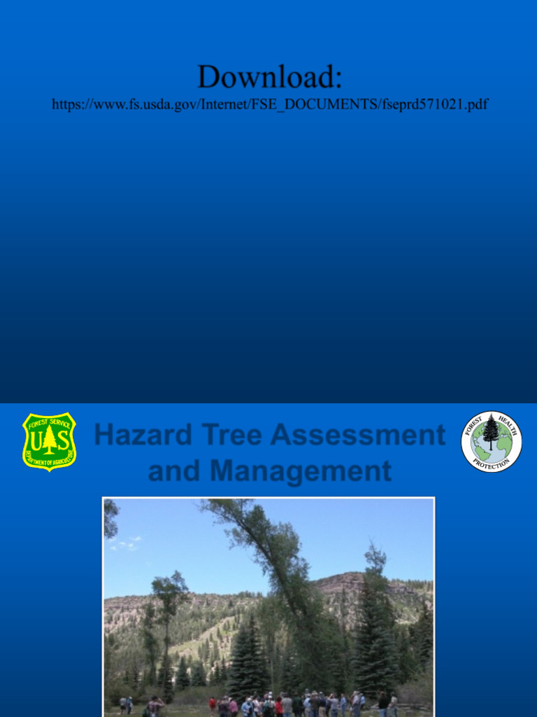 Hazard Tree Assessment Training Guide | PDF | Wood | Trees