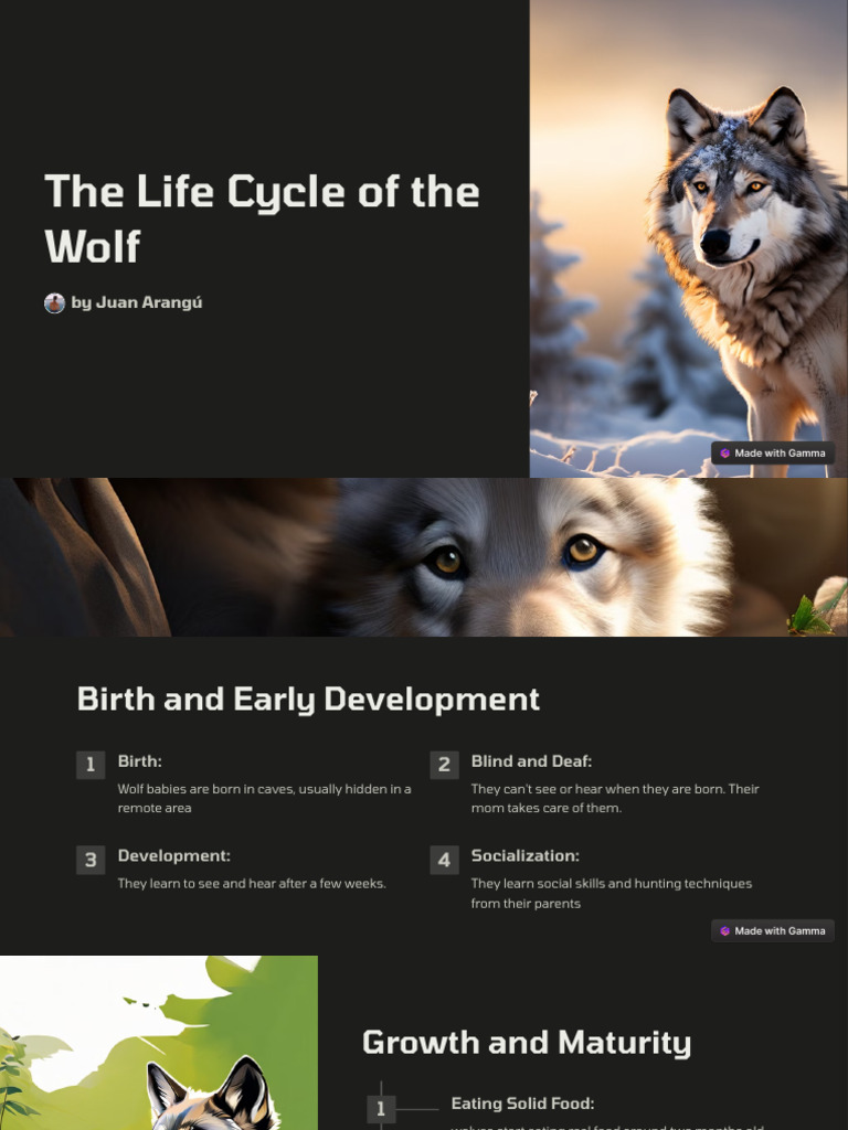 Wolf Life Cycle for Young Readers | PDF