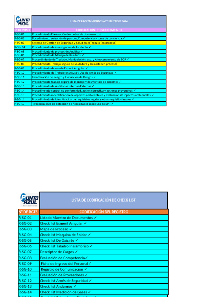 Procedimientos y Registros 2024 | PDF