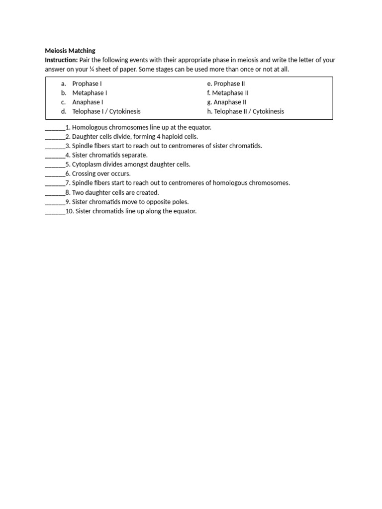 Meiosis Matching Worksheet Answers | PDF