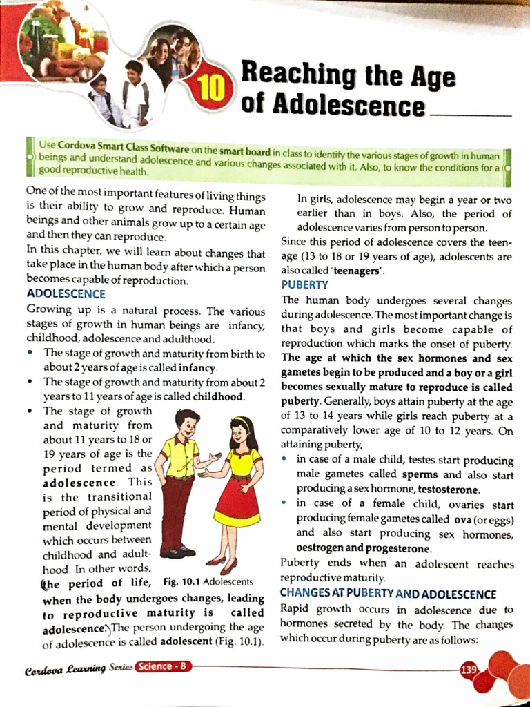 Understanding Adolescence and Puberty | PDF | Endocrine System | Endocrine