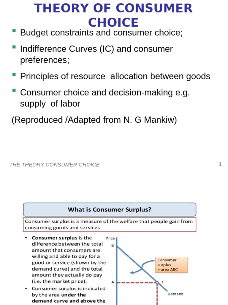 Consumer Theory- Managrial Economics | PDF | Utility | Business Economics