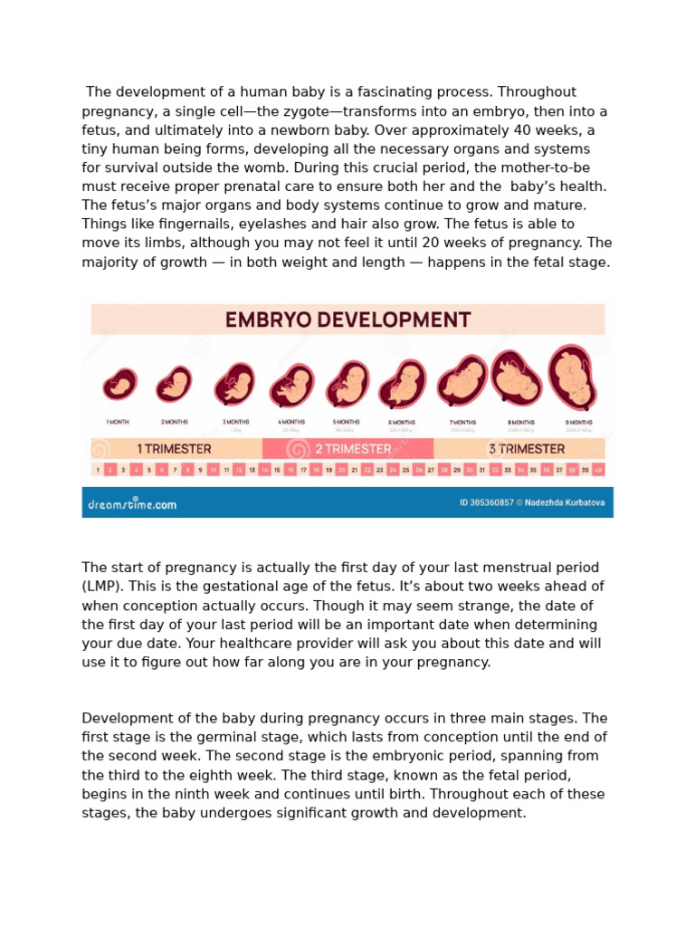 fetal growth and development | PDF | Pregnancy | Fetus