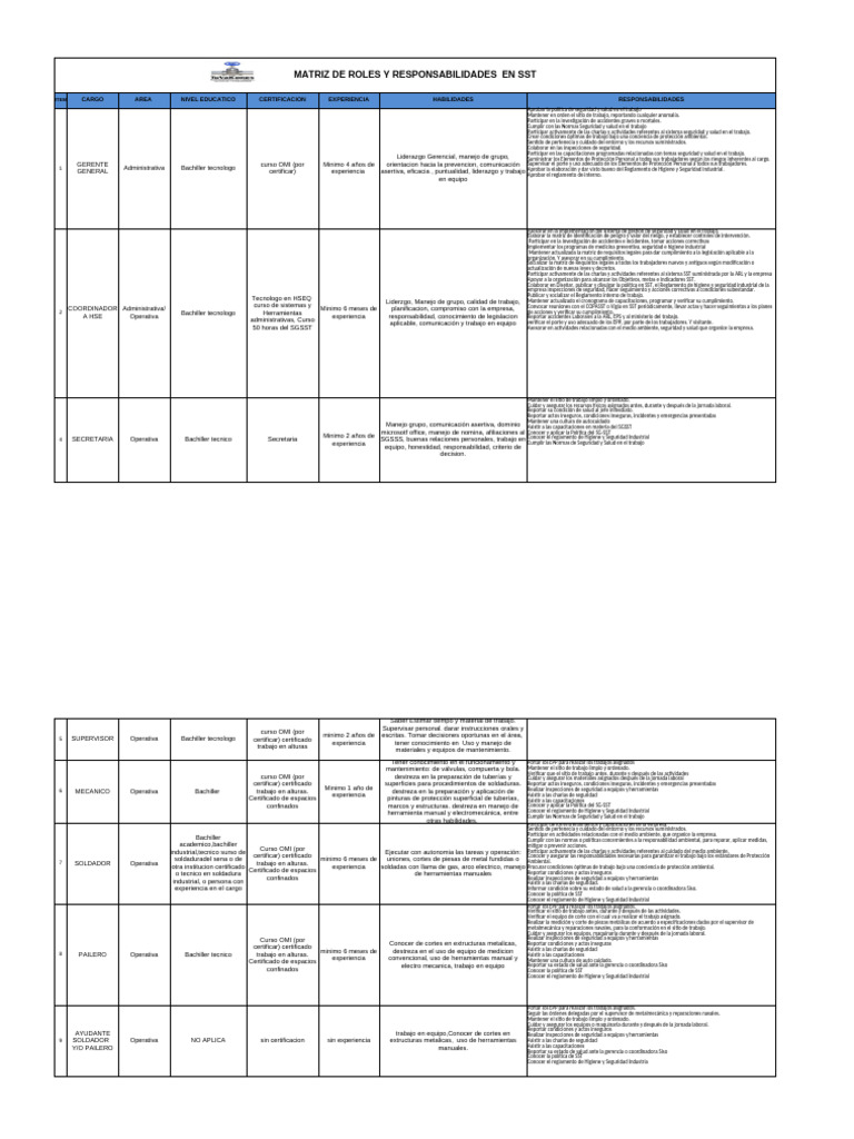 Matriz de Roles y Responsabilidades | PDF | Valores | Higiene Ocupacional