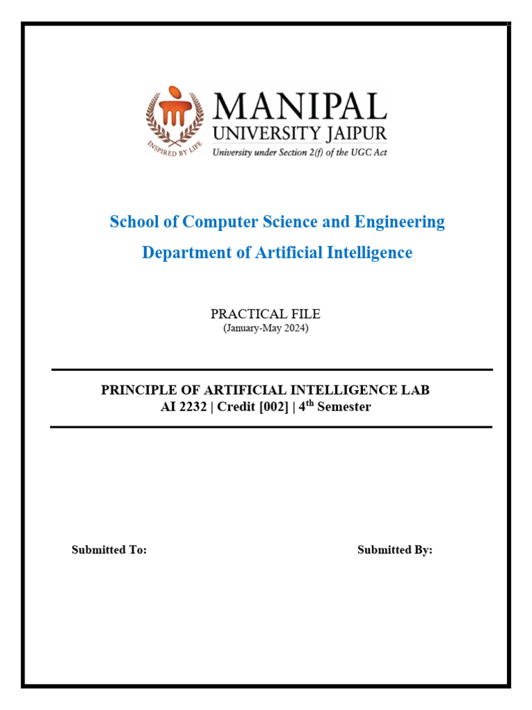 AI Principles Lab Practical File 2024 | PDF