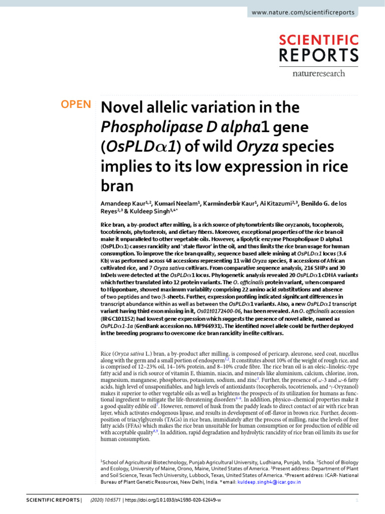 Novel allelic variation in the | PDF | Single Nucleotide Polymorphism ...