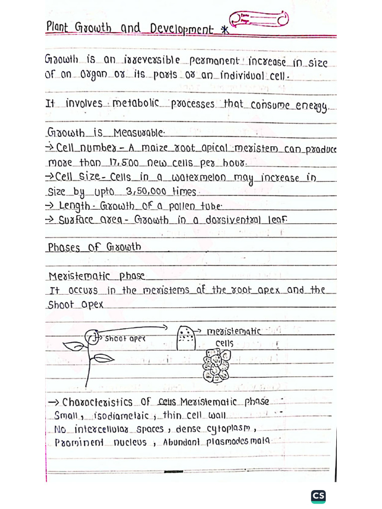 XI BIO Plant Hormones | PDF