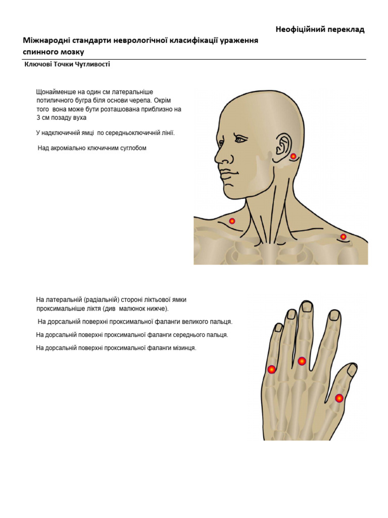 Final Key Sensory Points UKR | PDF