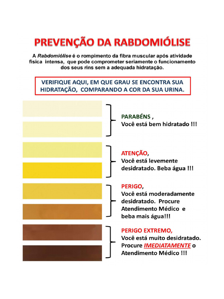 cartão de urina | PDF